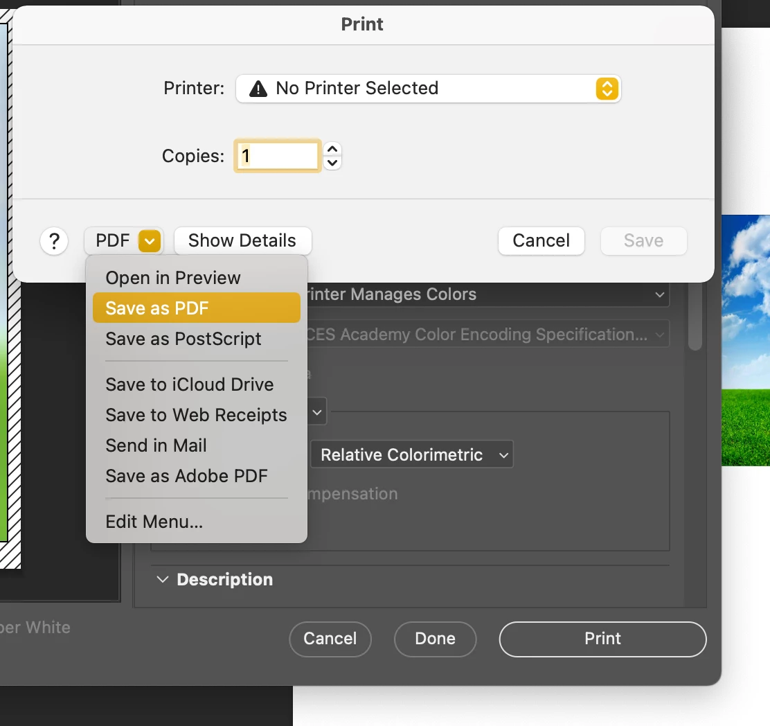Large .psb file cannot be saved as .pdf file | Community