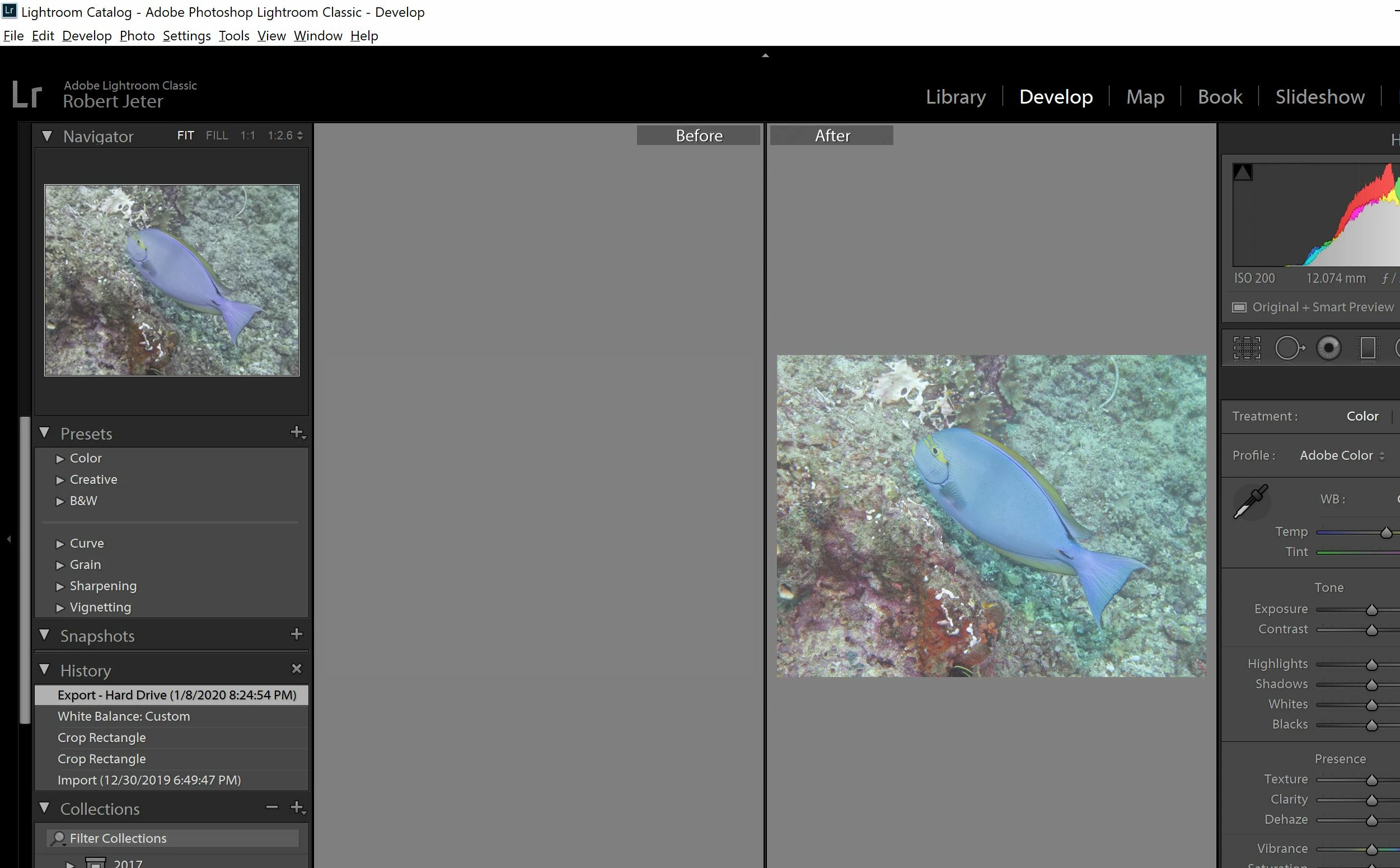 Lightroom Classic Develop Module won't show Before image | Community