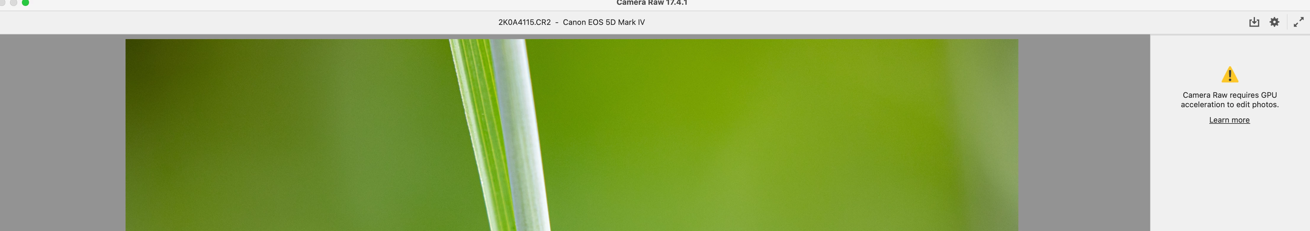 Camera Raw requires GPU acceleration to edit photo | Community