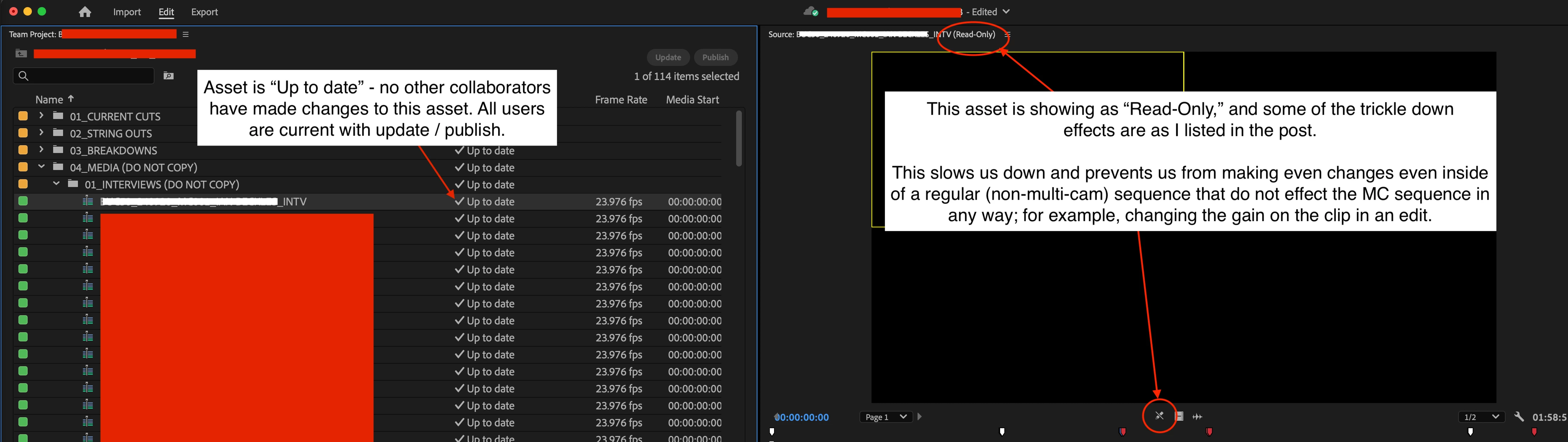 Team Project - View-Only / Read-Only multicams that are "Up to date ...