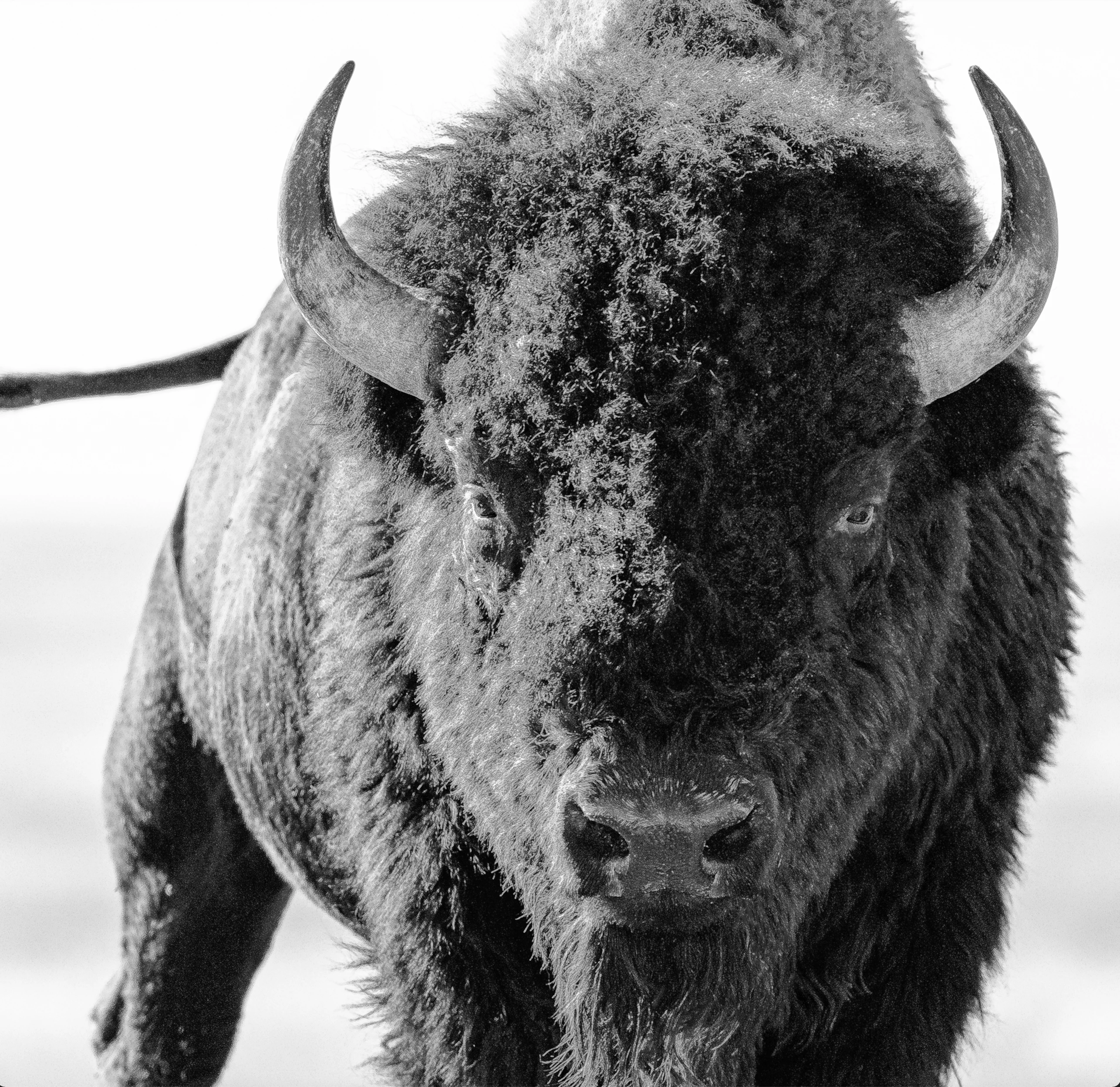 Visible differences between saving as .tif and .jpeg | Community