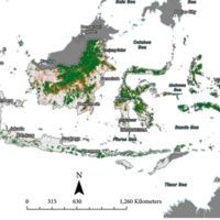 Analyzing Forest Cover in Indonesia with Planet-NICFI and Sentinel-2 Data | Planet Community
