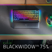 [WEEKLY SILVER] Swap Everything. EVERYTHING! | Razer Insider