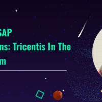 Integrated Toolchain in RISE with SAP: A Deep Dive into Tricentis’ Role ...