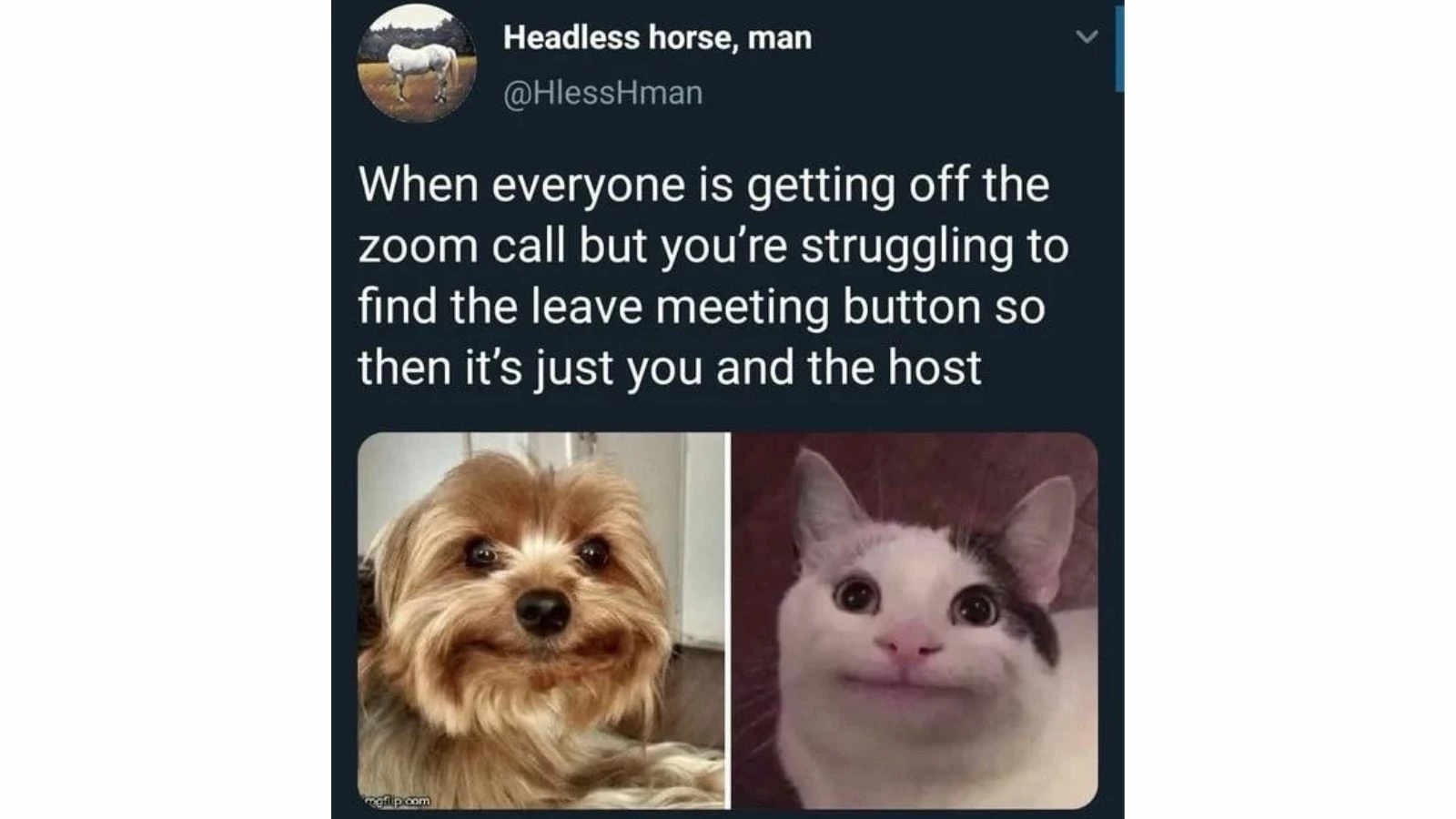 Favorite Zoom Memes! | Community